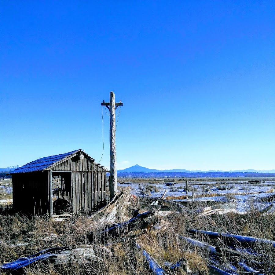 New Garmin Livescope lvs36 May 2024 release. Do you think technology is ...